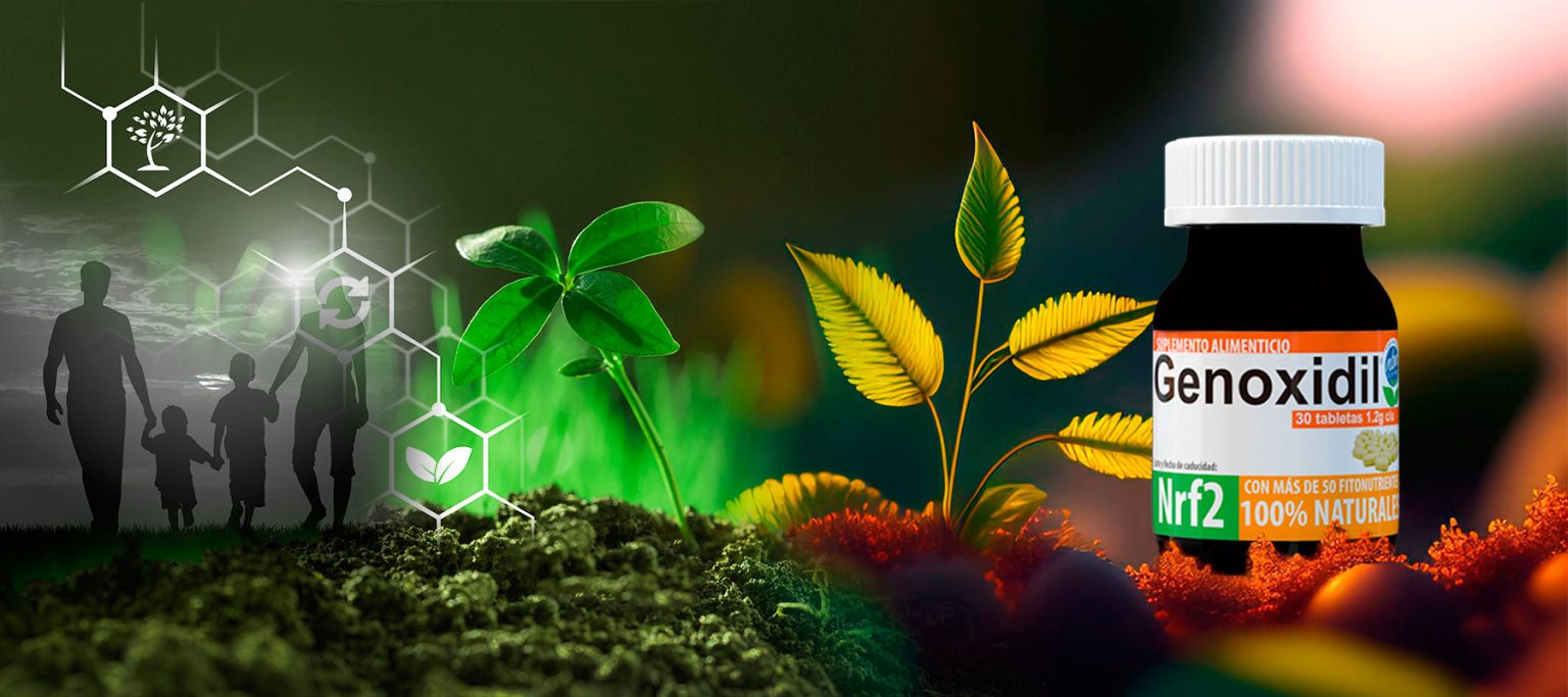 Genoxidil células madre proteína NRF2 antioxidante